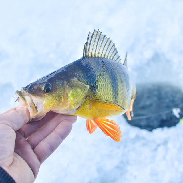 Hercules Fishing Tackle - Made for Serious Anglers!