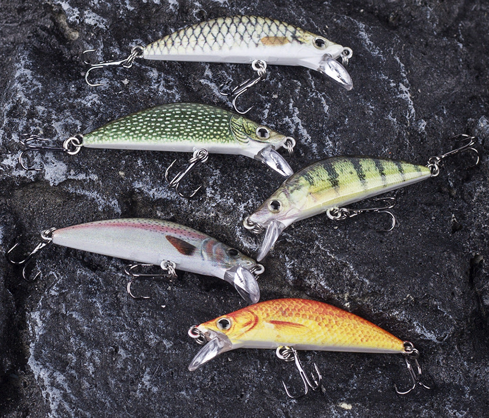 HERCULES Minnow Baits 5.5cm 5.5g Fishing Lure Box of 5PCS – Hercules ...
