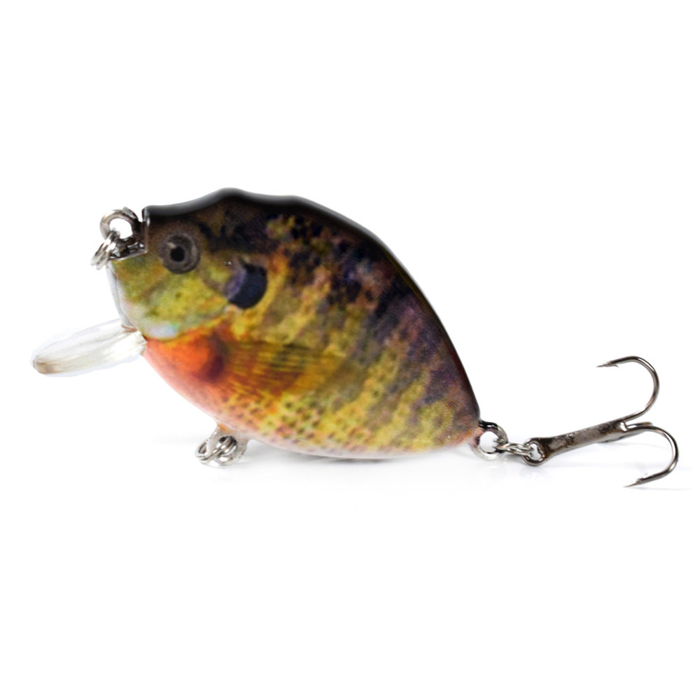HERCULES Crankbait Shallow Crank Lure – Hercules Fishing Tackle