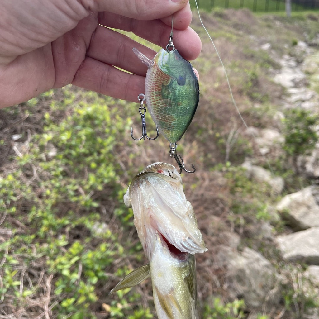 HERCULES 2.36" Crankbait Shallow Crank Lure Fishing Lures – Hercules ...